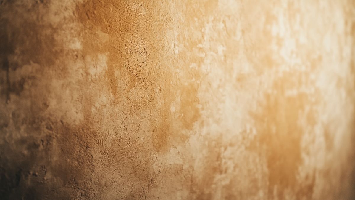 Peinture velours : une finition élégante et tendance pour vos murs - La ...